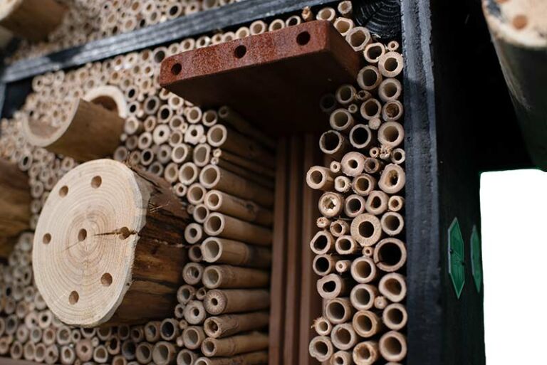 Insectenhotel 'De Langpoot' - BOOM Stijl